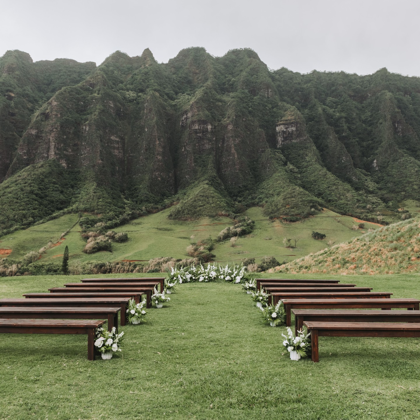 Home - Pacific Party Rentals